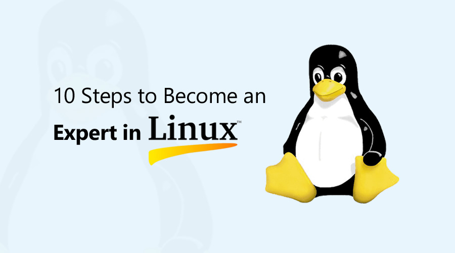 10 Steps To Become An Expert In Linux Clover Infotech